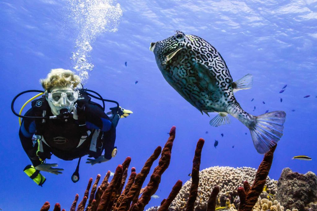 THE SACRED CORAL REEF STRUCTURES OF COZUMEL MARINE NATIONAL PARK ⋆ Yoga ...